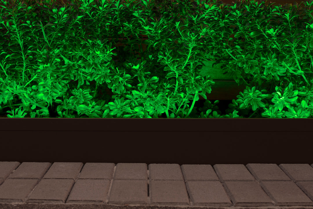 Edglit — Modern Landscaping Solutions