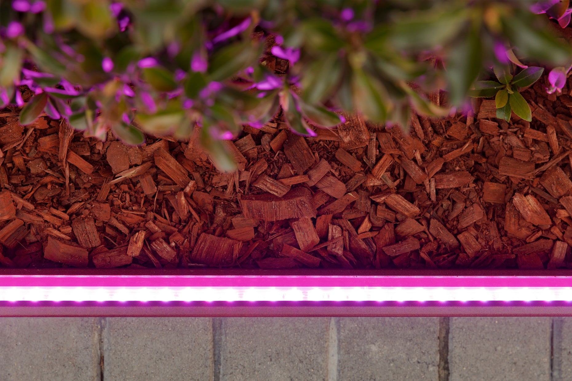 Edglit – Modular garden edging + lighting